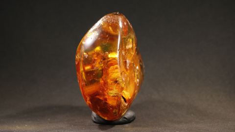 Fotogalerie | Bernsteindirekt.de – wir lieben Bernstein!